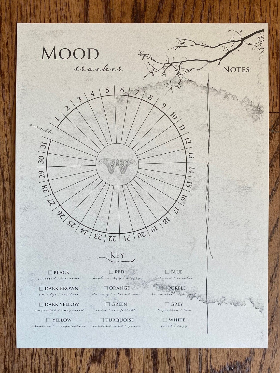 Mood Tracker Printable Monthly Mood Planner Circular Mood Chart Bullet ...