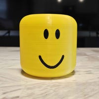 TBC Roblox Game - Etsy