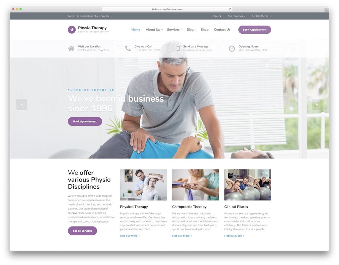 Physiotherapy Website Design Including Physio Theme Website | Etsy Canada