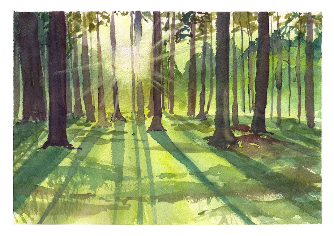 Sunny Forest Watercolor Painting / Digital Download / 5x7 & A4 Size - Etsy