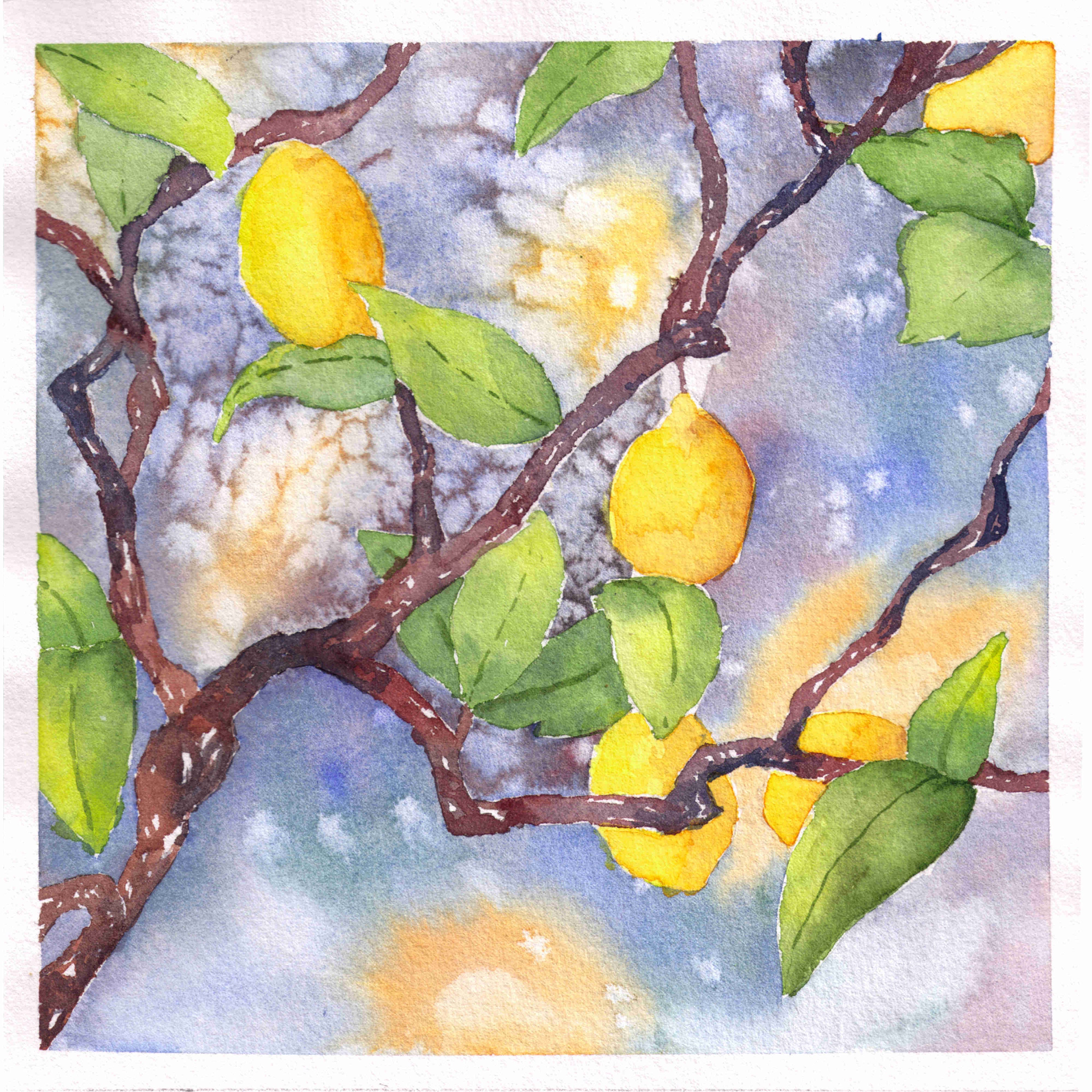 Lemon Tree Watercolor Painting / Digital Download / 10x10in - Etsy