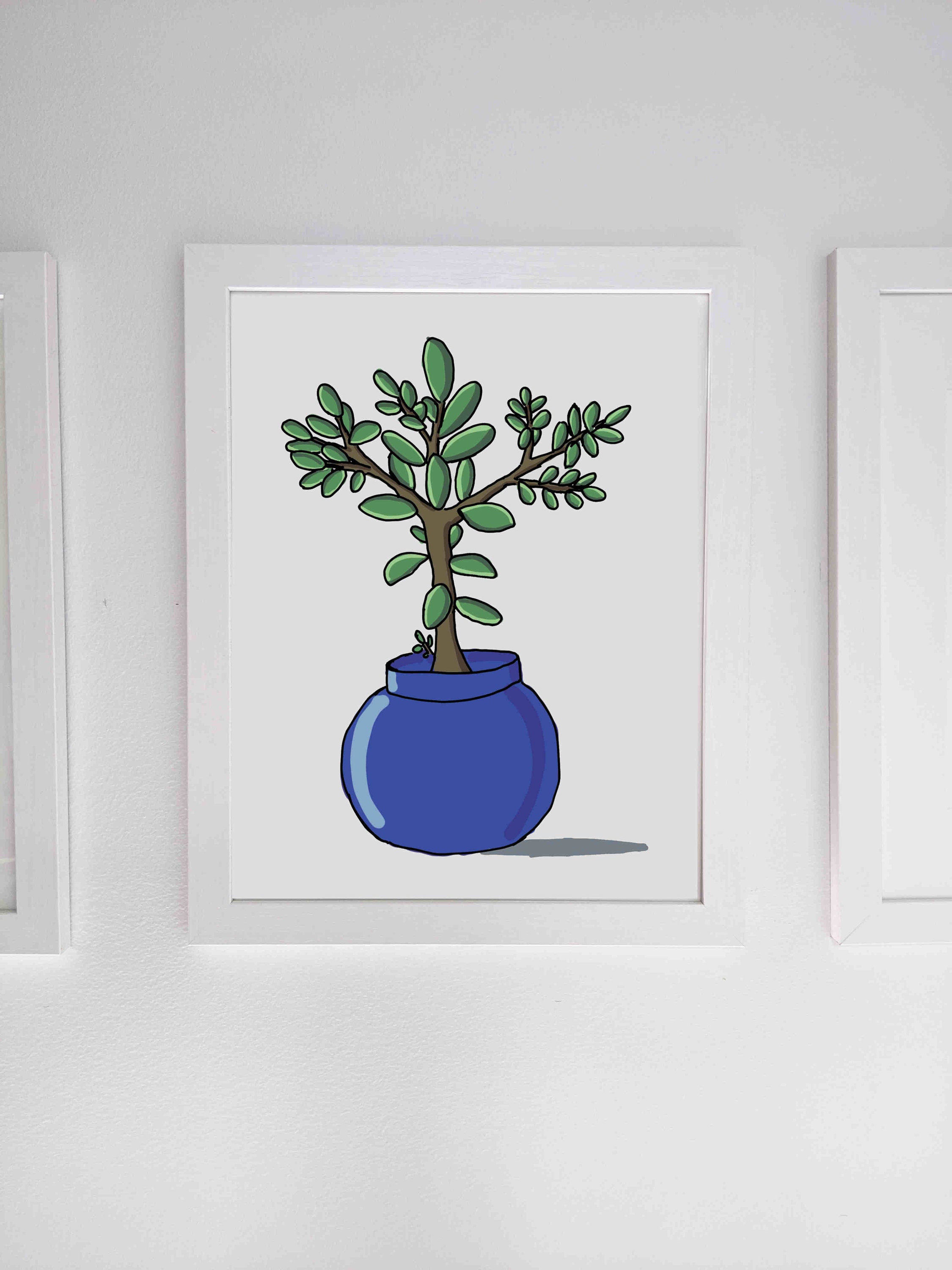 Jade Plant Illustration / Print, Letter Size, 8.5x11 / Digital Download ...