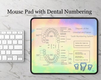 Tooth Numbering Diagram - Etsy