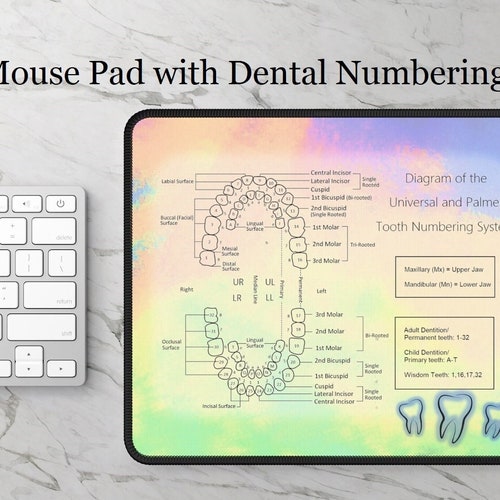 Tooth Numbering Diagram Mouse Pad for Dental Offices & - Etsy