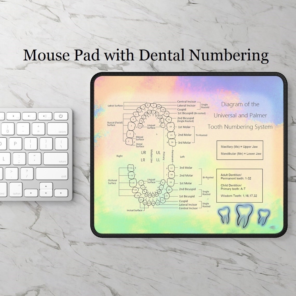 Tooth Numbering Diagram Mouse Pad for Dental Offices & - Etsy