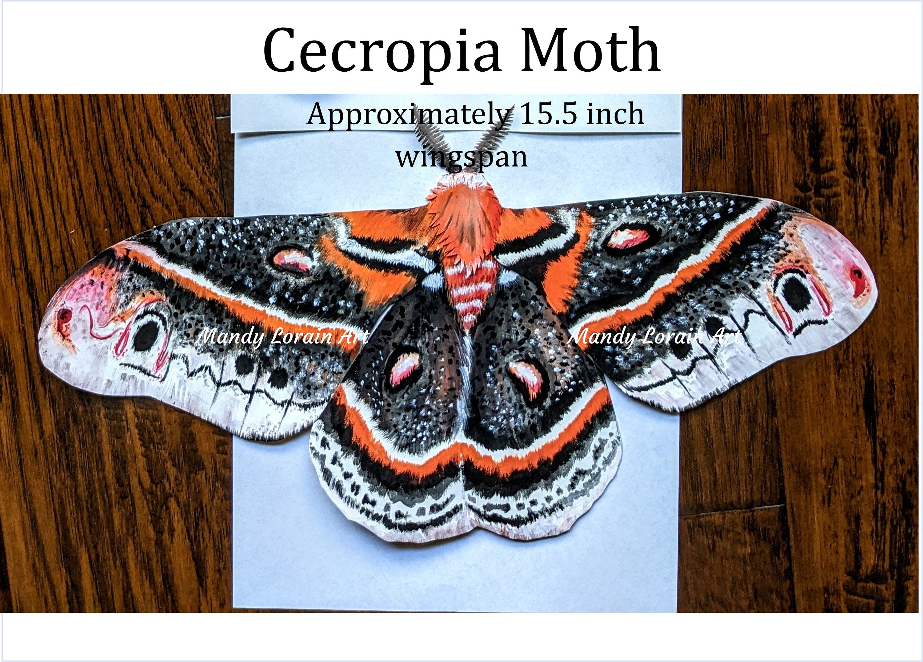 Hand Painted Faux Butterfly Specimen, Mother's Day Gift, Moth Painting, Insect Art, Entryway ...