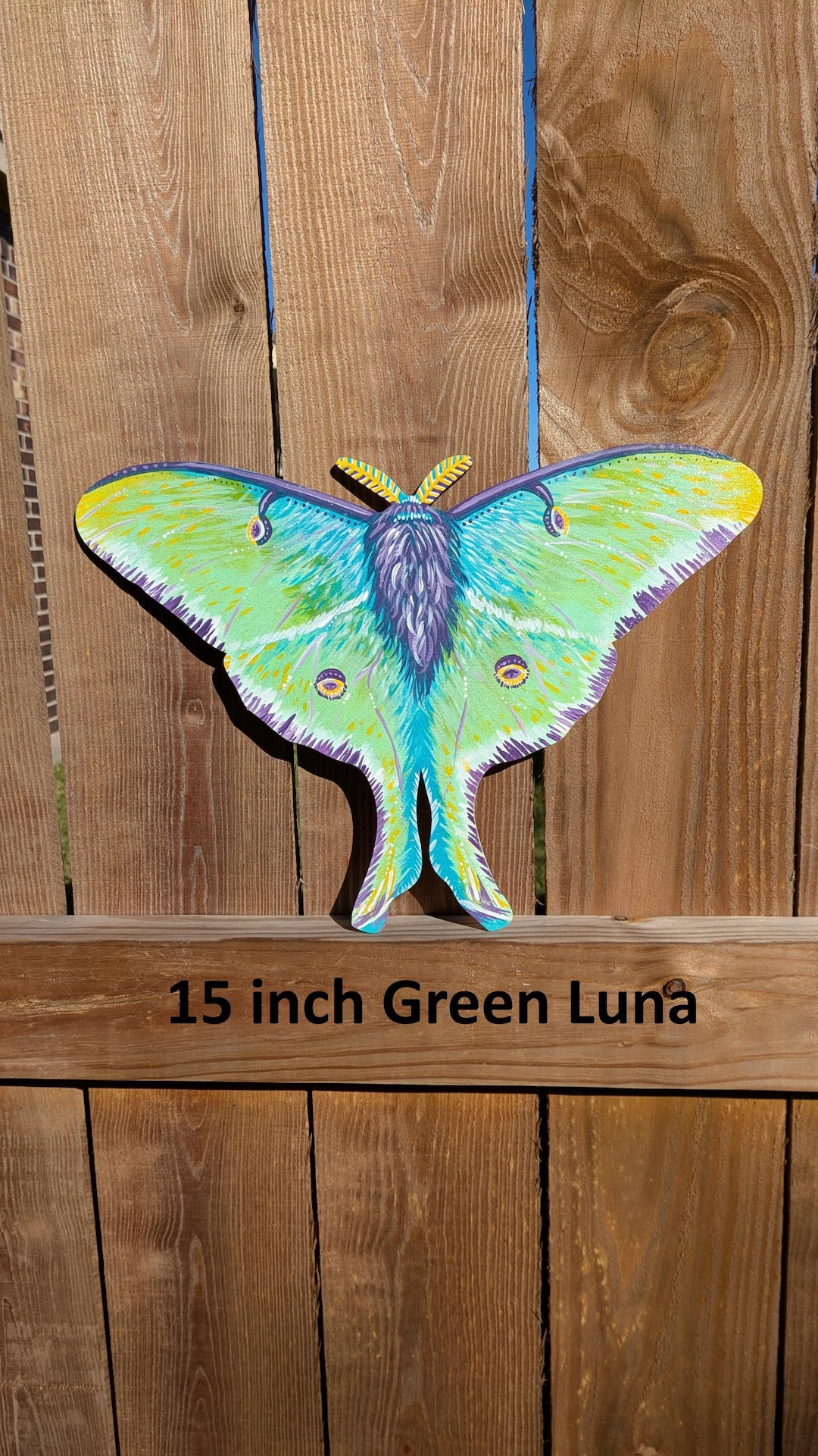 Luna Moth Wall Hanging, Luna Moth Art, Butterfly Decor, Moth Magik ...