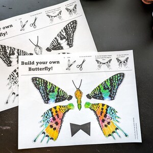 Build Your Own Butterfly, Printable Craft for Kids, Madagascar Sunset ...