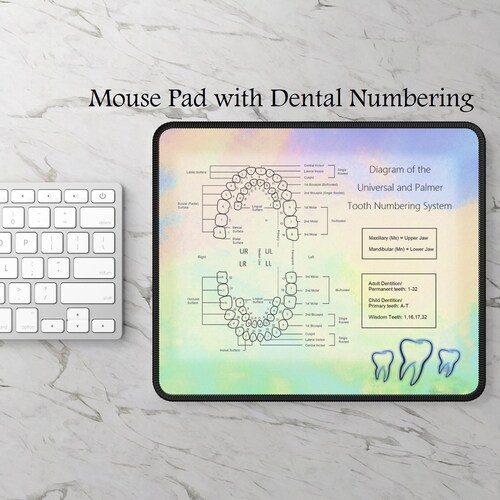Tooth Numbering Diagram Mouse Pad for Dental Offices & - Etsy