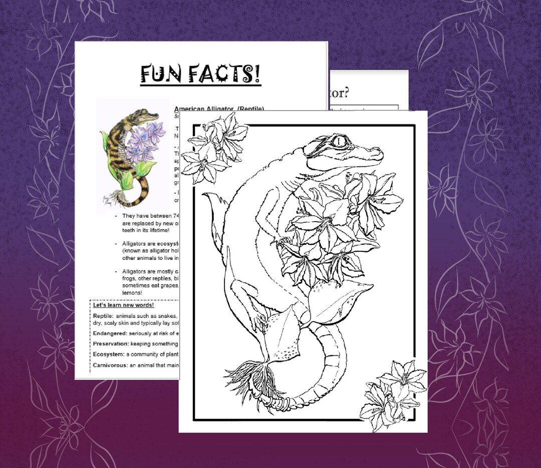 Alligator Learning Activity, Nature Unit Study, Children's Printable ...