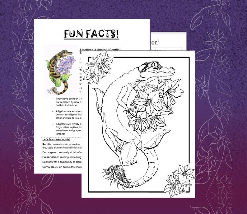 Alligator Learning Activity, Nature Unit Study, Children's Printable ...