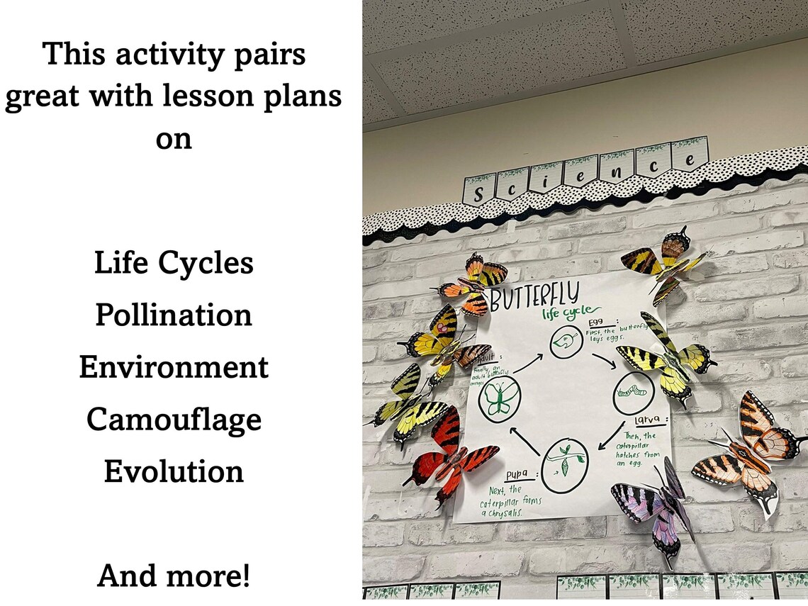 Build Your Own Monarch Butterfly Craft for Kids, Printable Butterfly ...