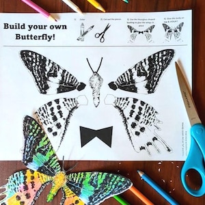 Build Your Own Butterfly, Printable Craft for Kids, Madagascar Sunset ...