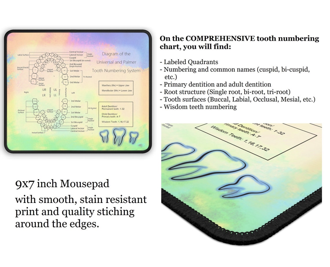 Tooth Numbering Diagram Mouse Pad for Dental Offices & - Etsy