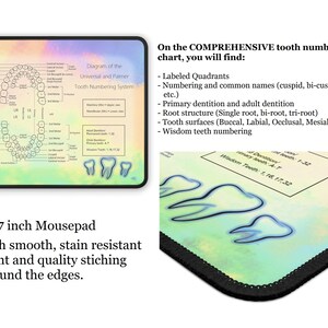 Tooth Numbering Diagram Mouse Pad for Dental Offices & - Etsy