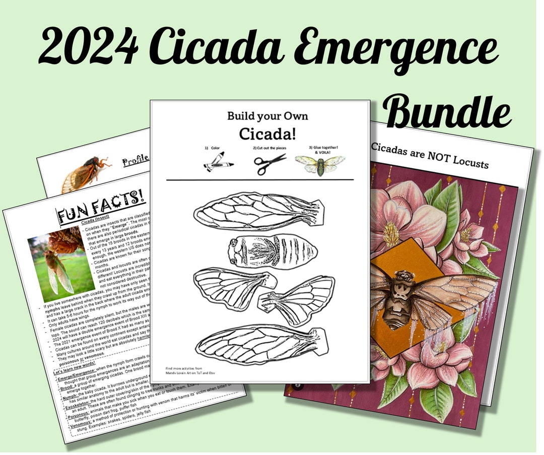Cicada 2024 Emergence Printable, Learn About Cicadas, Periodic Cicadas ...