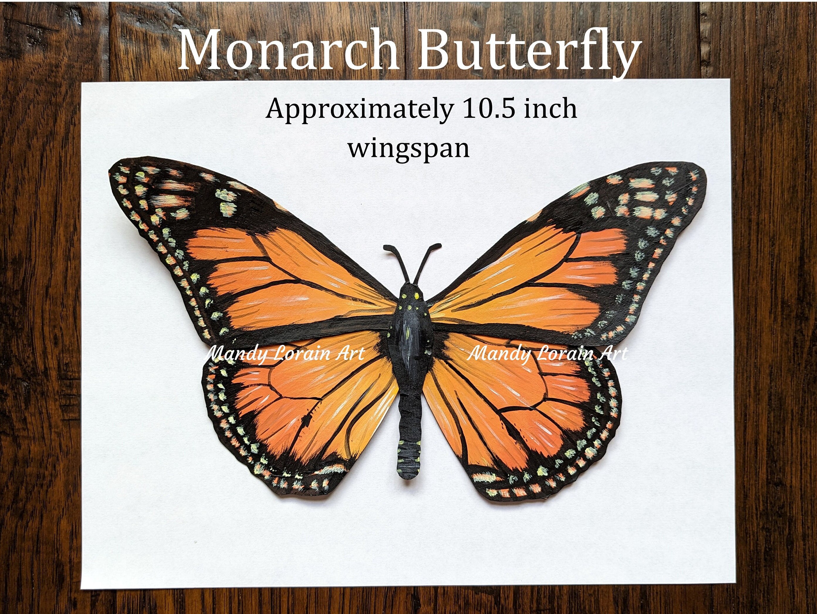 Hand Painted Faux Butterfly Specimen, Mother's Day Gift, Moth Painting ...