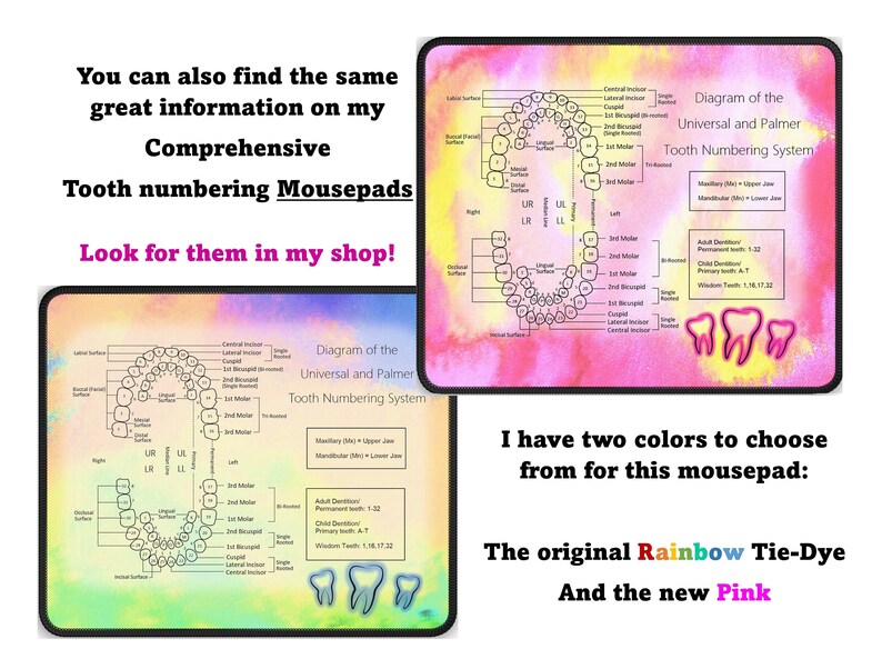 Pink Tooth Numbering Diagram Mousepad for Dental Offices & Students ...
