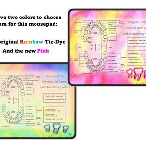 Tooth Numbering Diagram Mouse Pad for Dentist Offices & Students. Tooth ...