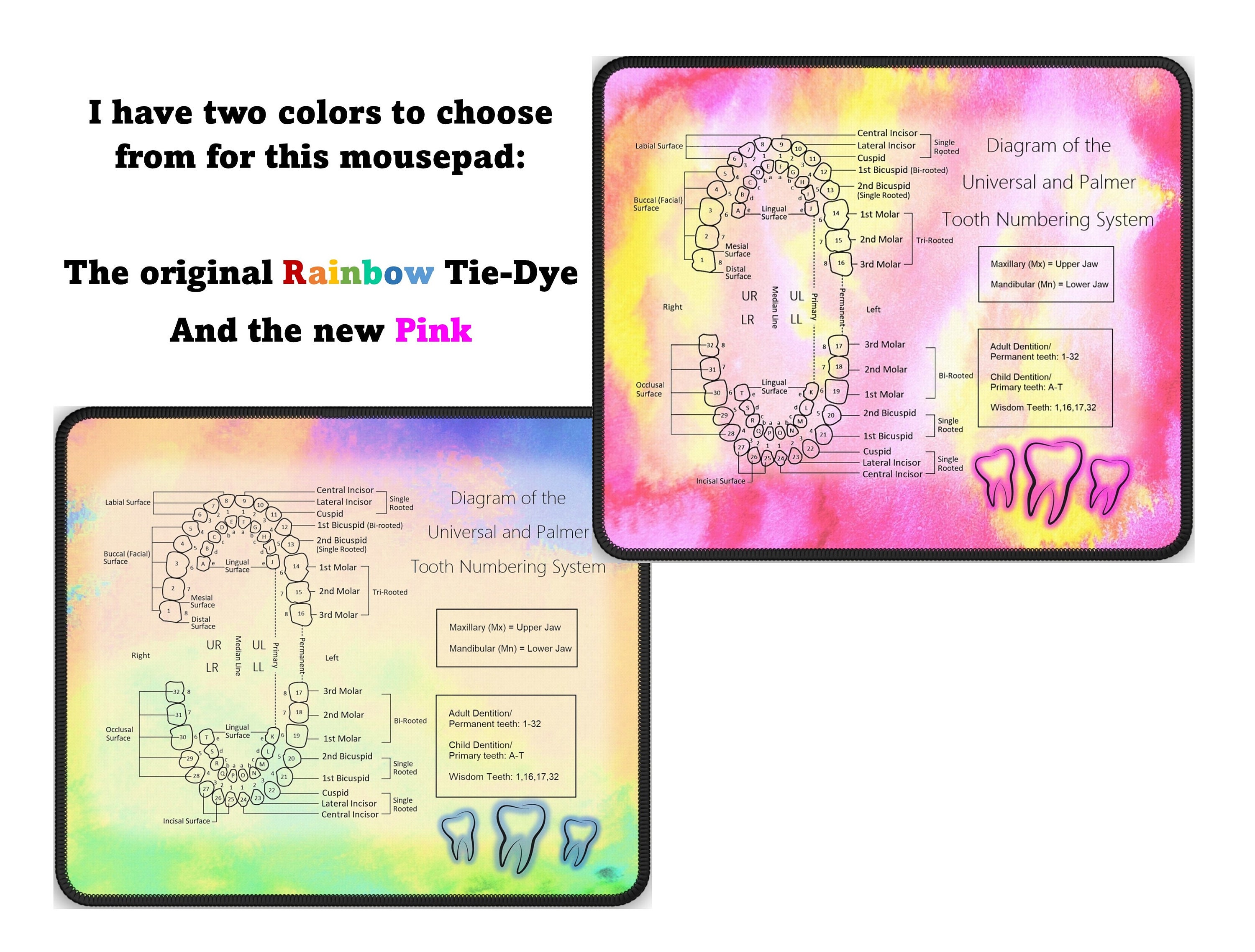 Tooth Numbering Diagram Mouse Pad for Dental Offices & - Etsy