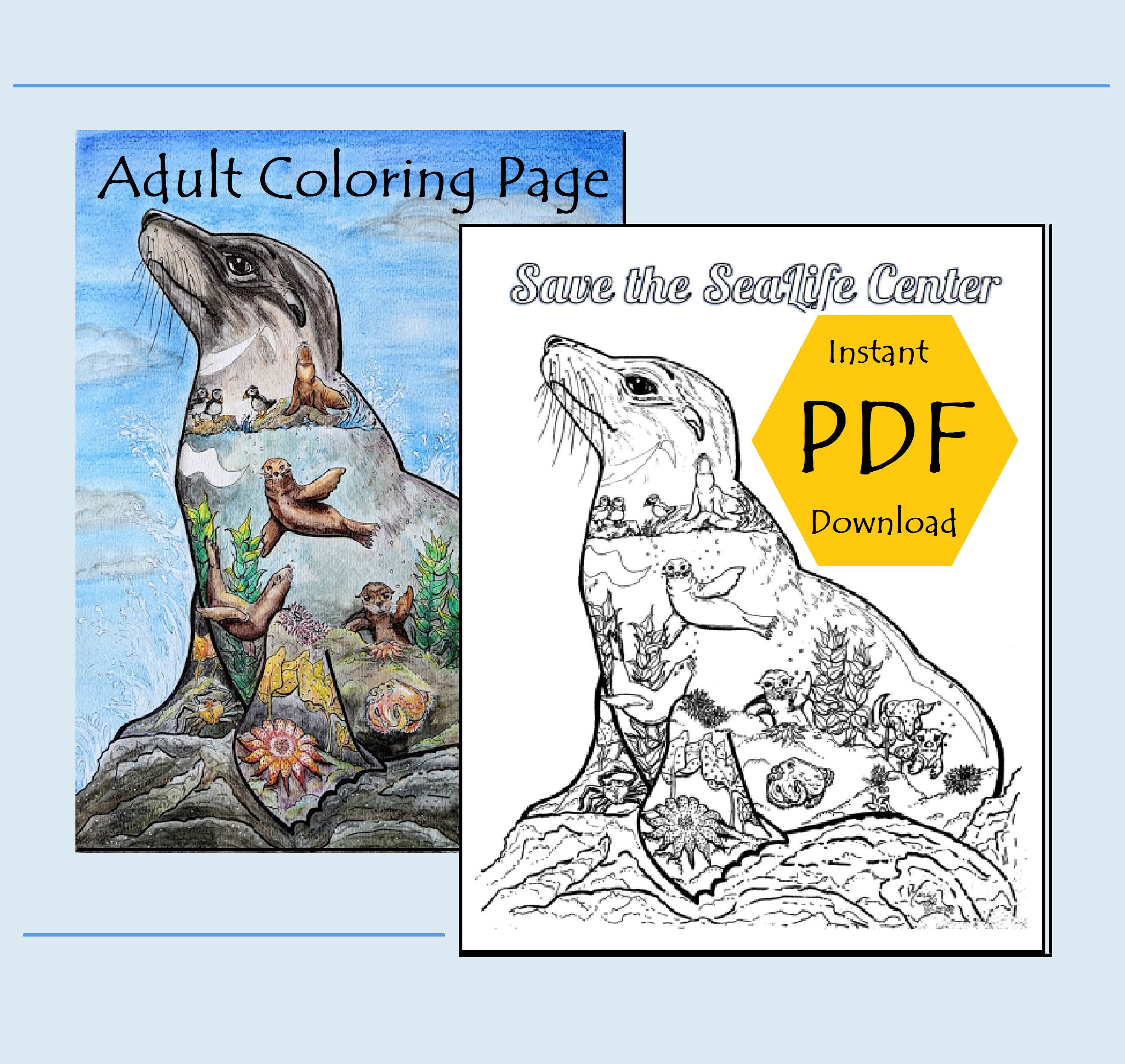 Sea Lion Coloring Pages