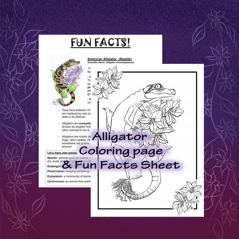 Alligator Learning Activity Nature Unit Study Children's - Etsy