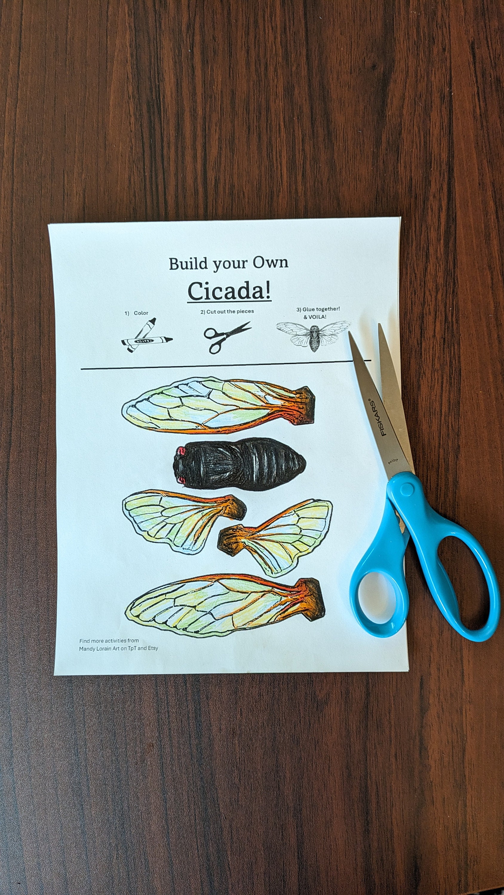 Cicada 2024 Emergence Printable, Learn About Cicadas, Periodic Cicadas ...