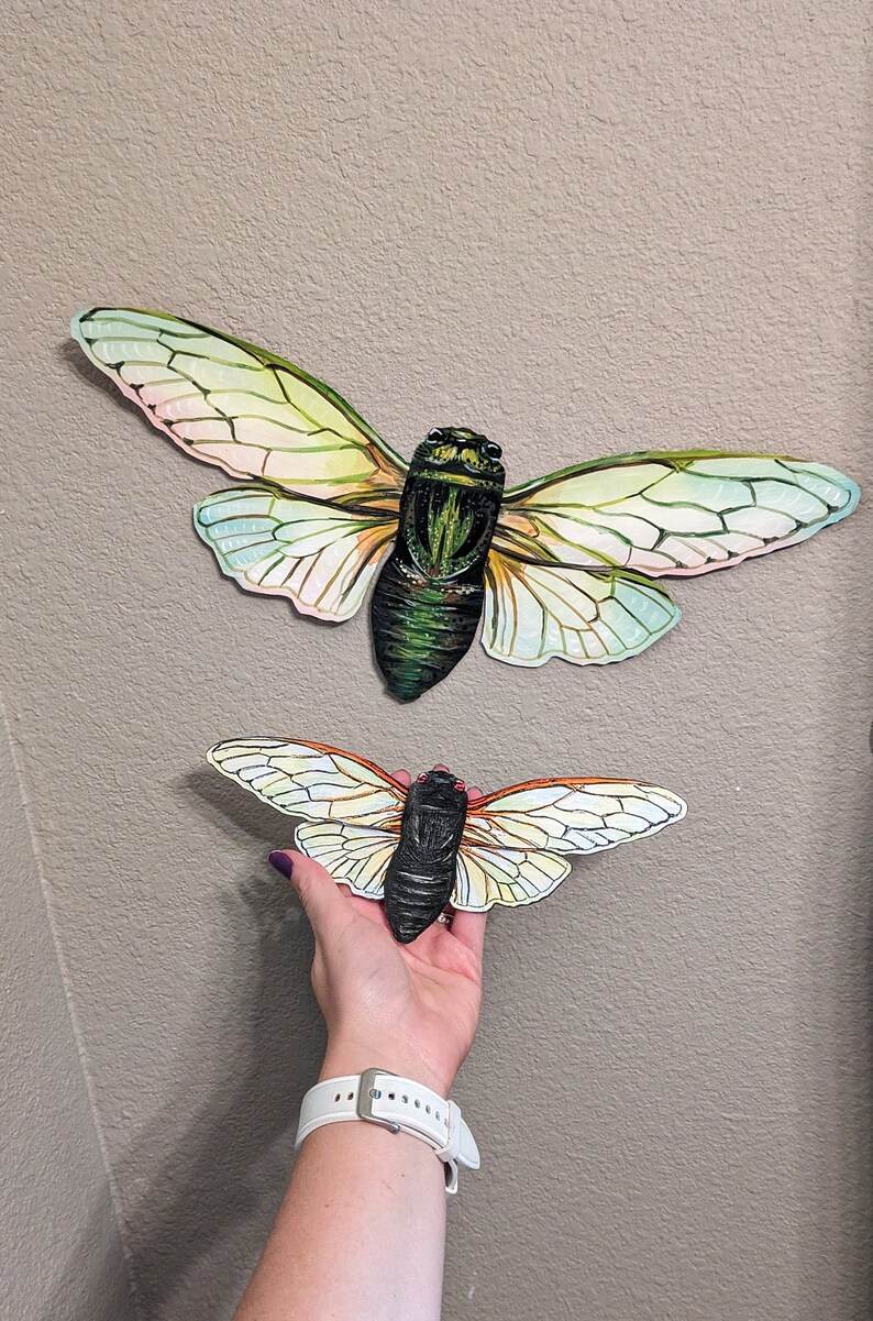 Cicada 2024 Emergence Printable, Learn About Cicadas, Periodic Cicadas ...