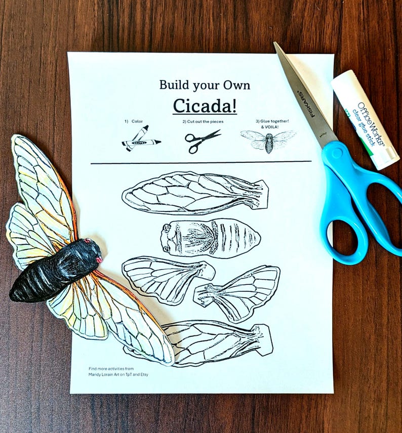 Cicada 2024 Emergence Printable, Learn About Cicadas, Periodic Cicadas ...