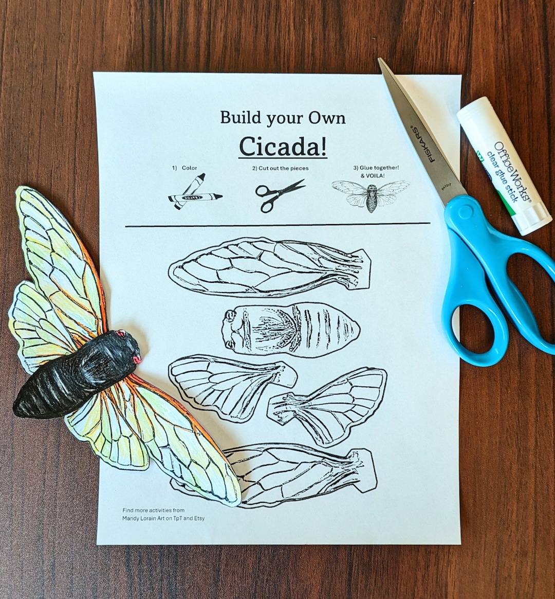 Cicada 2024 Emergence Printable, Learn About Cicadas, Periodic Cicadas ...