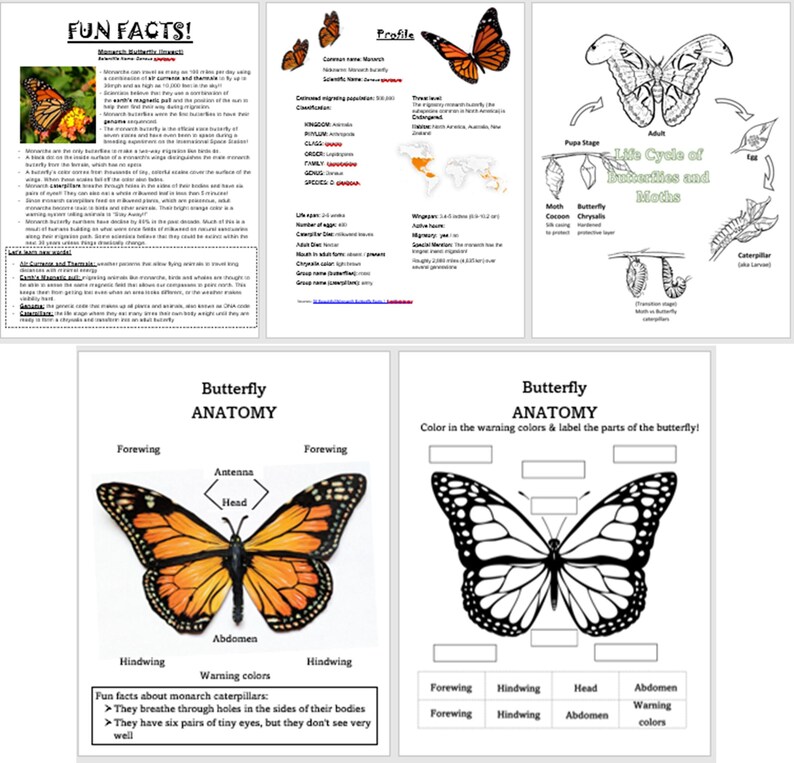 Build Your Own Monarch Butterfly Craft for Kids, Printable Butterfly ...