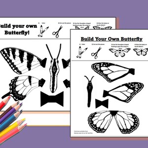 Build Your Own Butterfly, Printable Craft for Kids, Madagascar Sunset ...