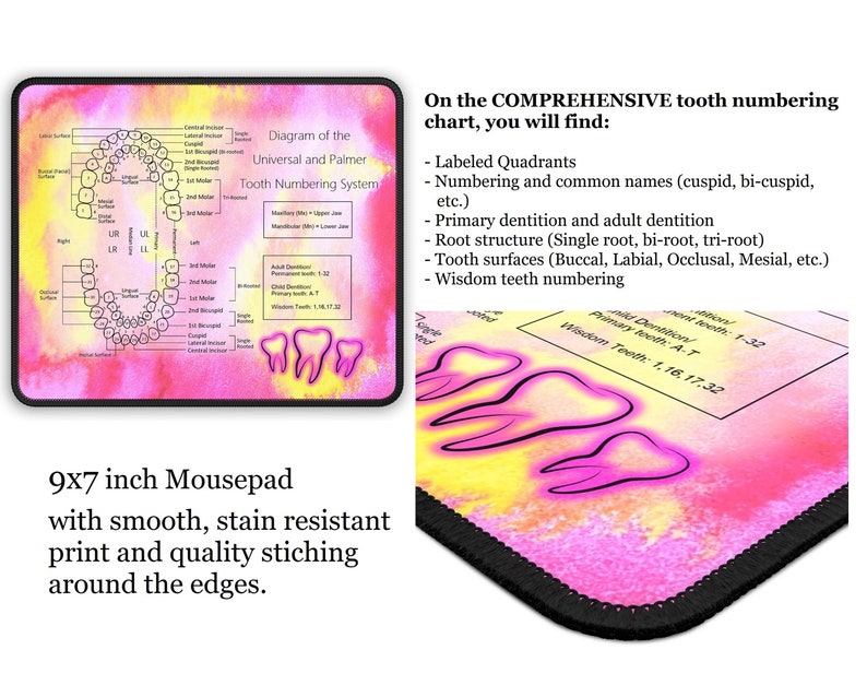 Pink Tooth Numbering Diagram Mousepad for Dental Offices & Students ...