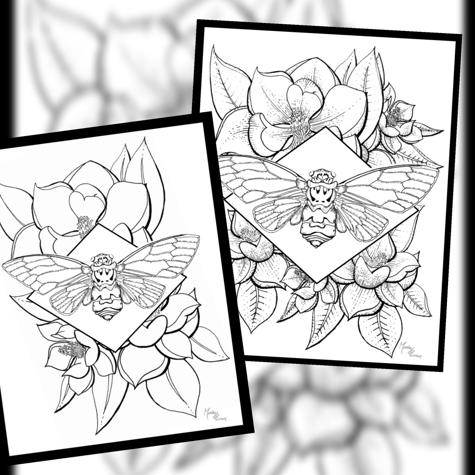 Cicada Coloring Page, Adult Coloring Page, Insect Coloring Sheet ...