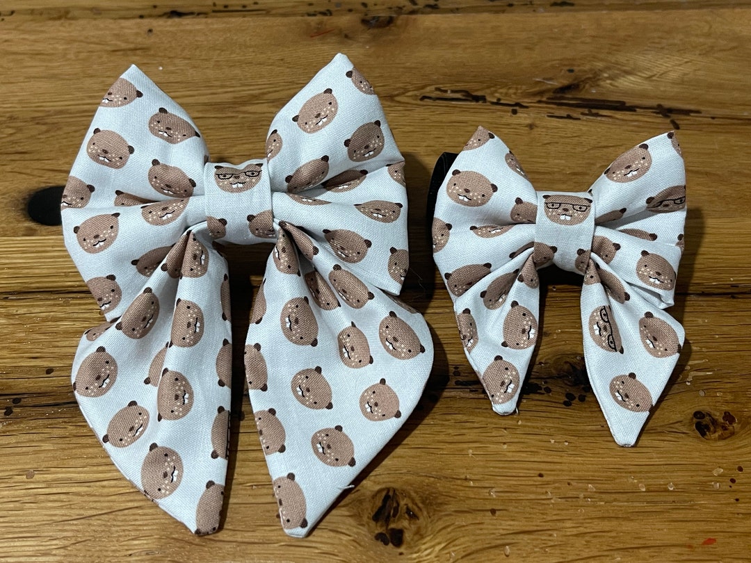 Cute Beavers! Beavers on a Bow, Beaver in Glasses Sailer Bow Tie, Hook ...