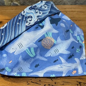 Shark Week Ready! Sharks and Waves! Sharks Everywhere and Ocean Waves ...