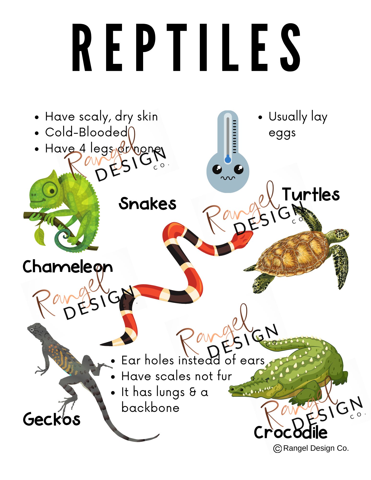 Animal Poster Set - DIGITAL DOWNLOAD - Education Printable, Montessori ...