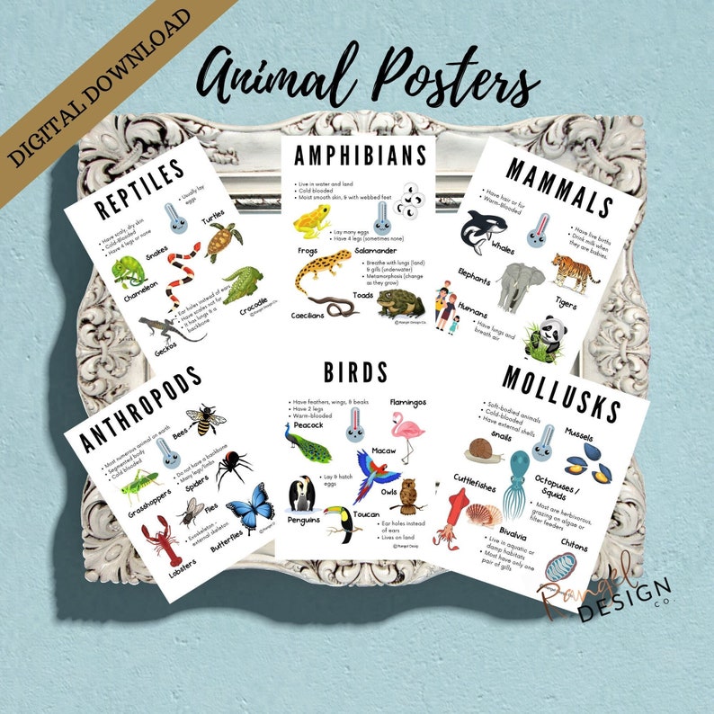 Animal Poster Set DIGITAL DOWNLOAD Education Printable, Montessori ...