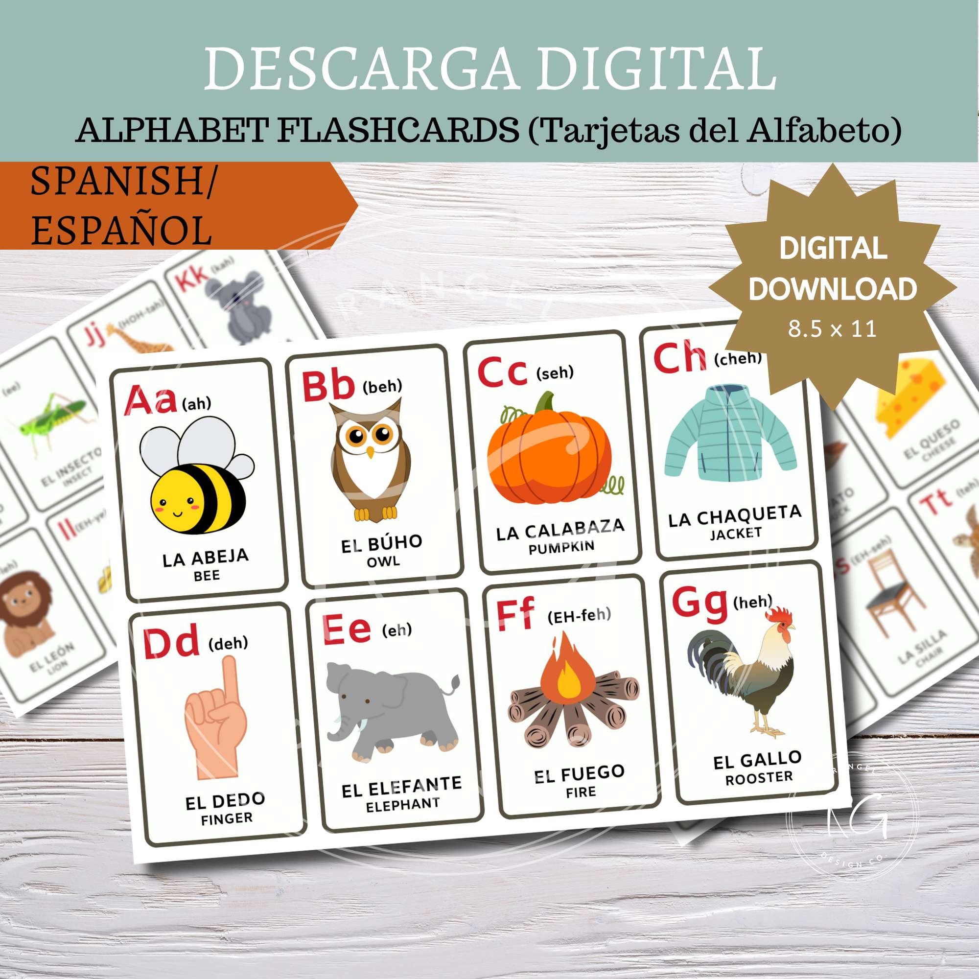 Spanish Flashcards for Kids - Alphabet Learning Printable's - Etsy