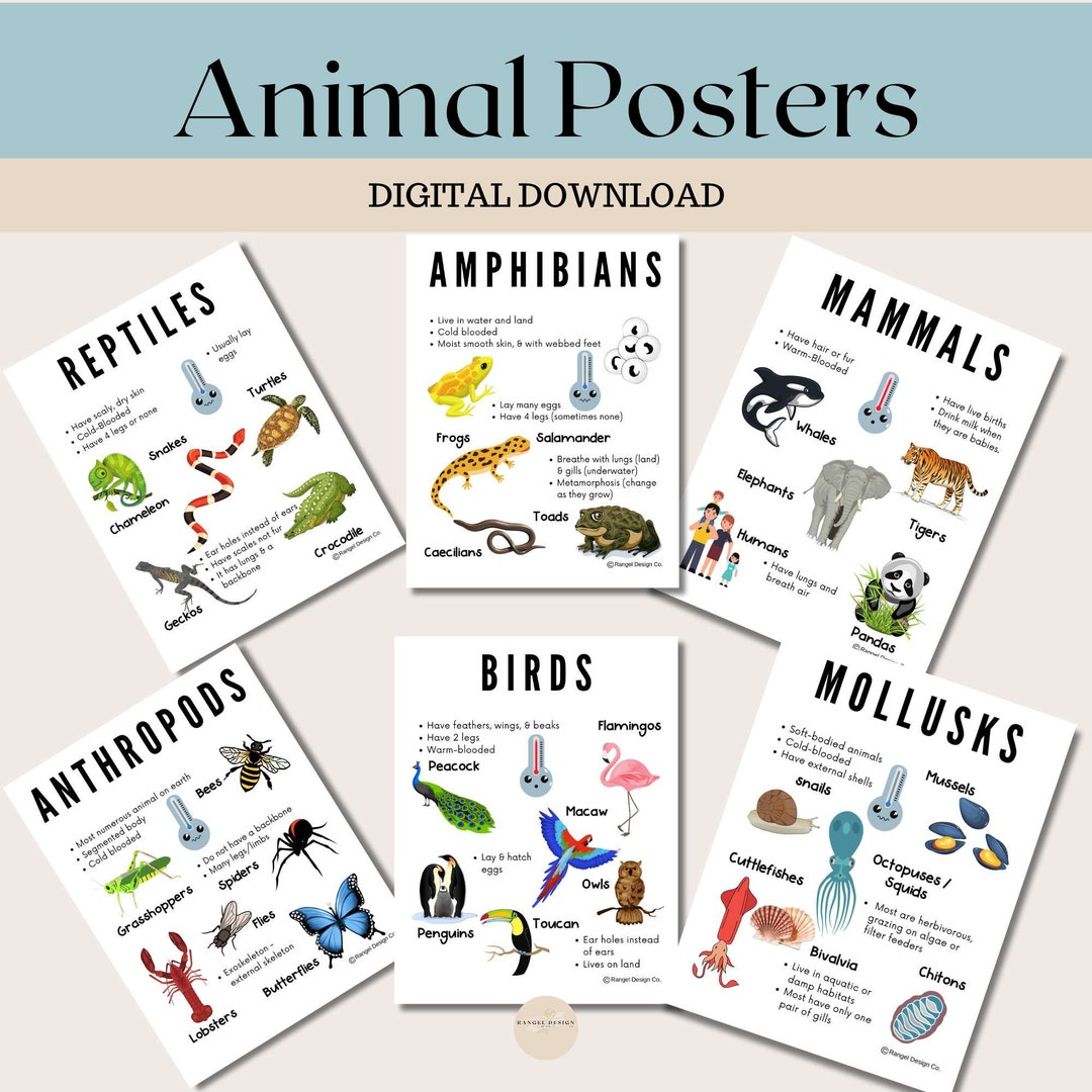 Animal Poster Set - DIGITAL DOWNLOAD - Education Printable, Montessori ...