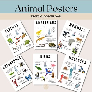 Animal Poster Set - DIGITAL DOWNLOAD - Education Printable, Montessori ...