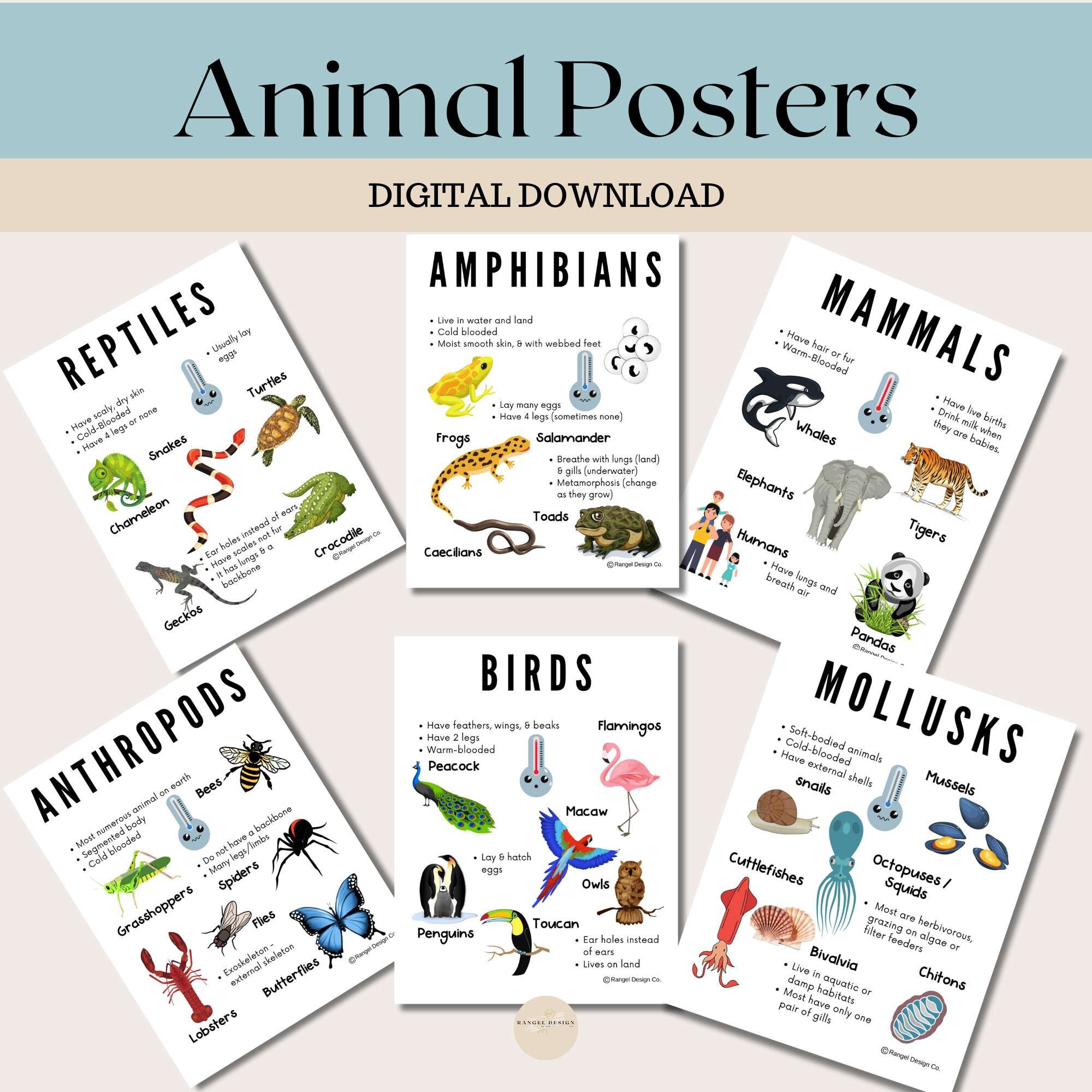 Animal Poster Set - DIGITAL DOWNLOAD - Education Printable, Montessori ...