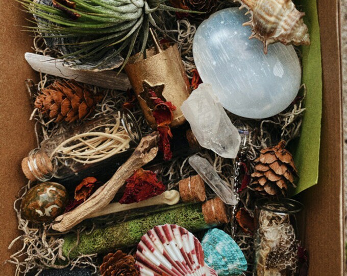 Mini-large SWAMP WITCH Mystery Box - Witchcraft Supplies, Witch Gifts ...