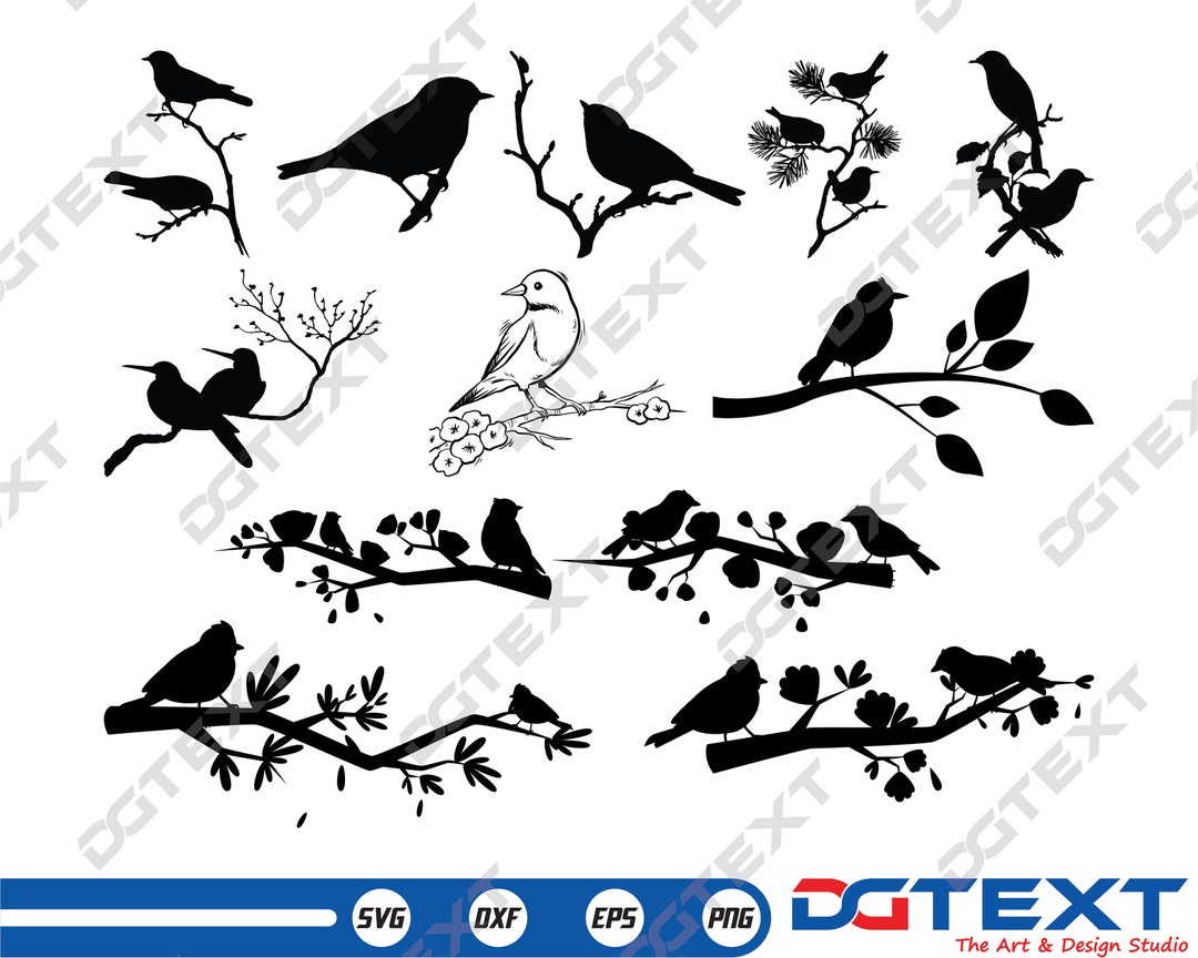 Birds on Branches SVG, Birds on Branches Vector, Silhouette, Cricut ...
