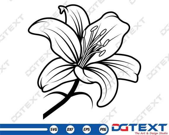Lily Flower SVG Lily Flower Vector Silhouette Cricut File - Etsy