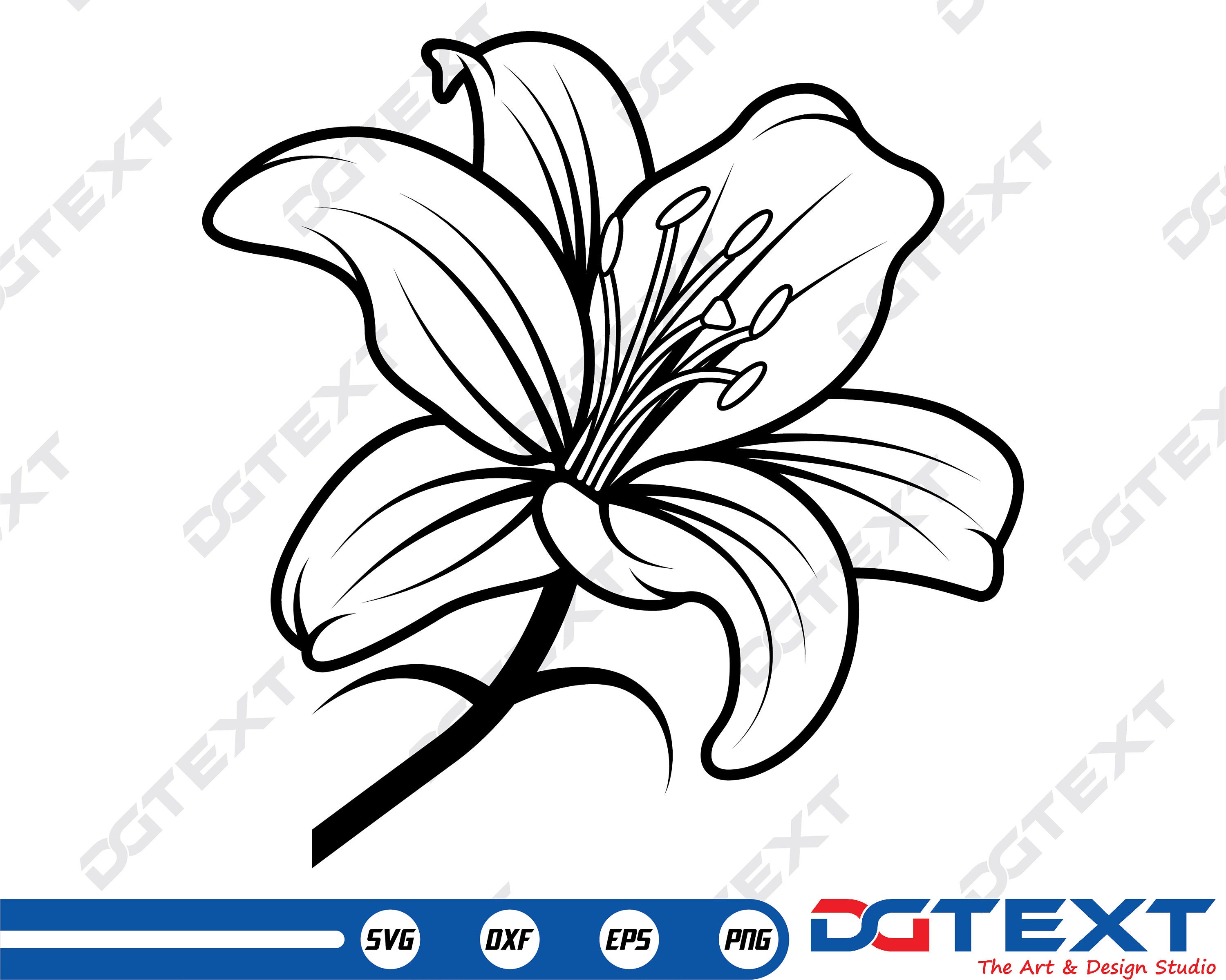 Lily Flower SVG Lily Flower Vector Silhouette Cricut file | Etsy