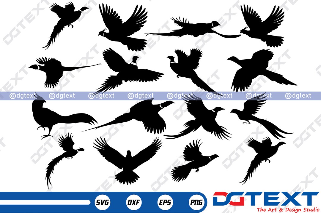 Pheasant SVG, Pheasant Vector, Silhouette, Cricut File, Clipart ...