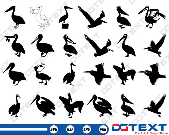 Pelican SVG Pelican Vector Silhouette Cricut File Clipart | Etsy