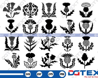 Thistle Cuttable Design SVG PNG DXF & Eps Designs Cricut Cameo File ...