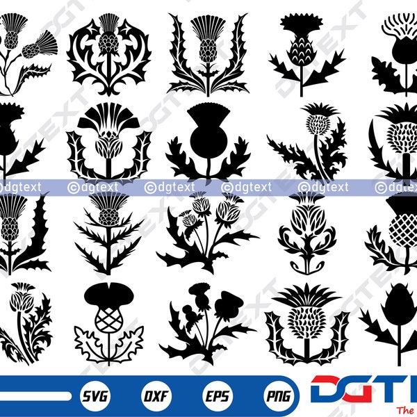 Thistle Svg - Etsy